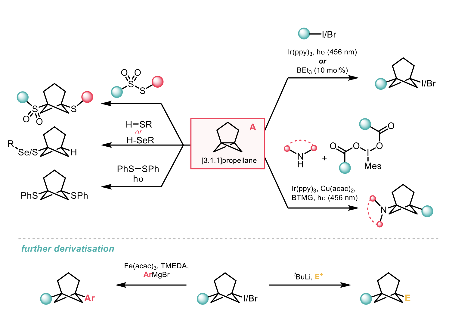 Synthesis in Review: Bicyclo[3.1.1]heptanes (BCHeps) as bioisosteres for meta-substituted ...
